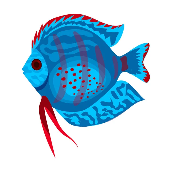 Peixe pargo vermelho Vector Art Stock Images | Depositphotos