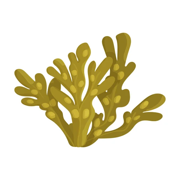Porifera Vector Art Stock Images | Depositphotos
