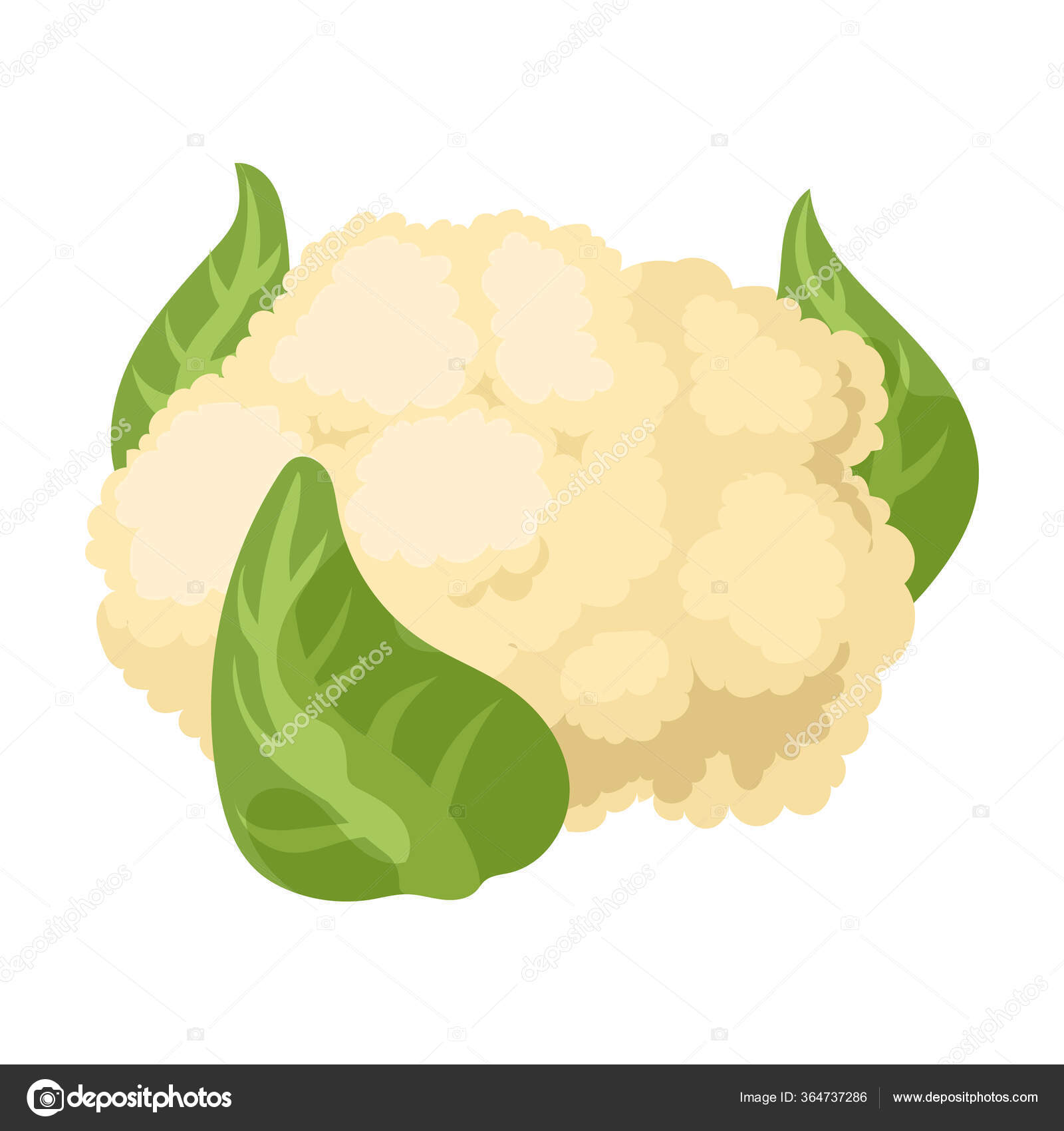 Cauliflower Animated Images