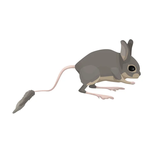 Jerboa Vector Art Stock Images | Depositphotos