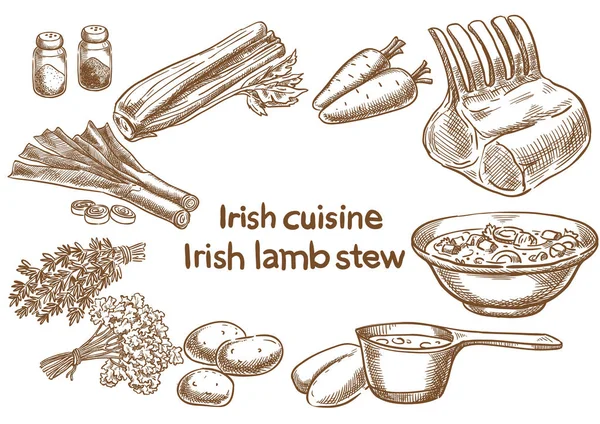 Irish stew Vector Art Stock Images | Depositphotos