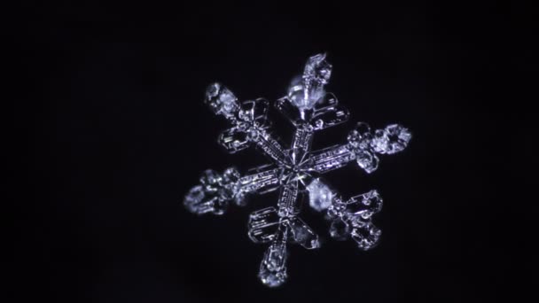 Little frozen star appears in the dark — Stock Video © Kostyantyn ...
