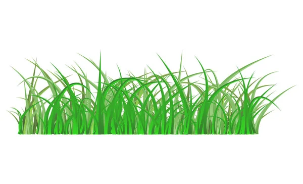 Prairie Grass Vector