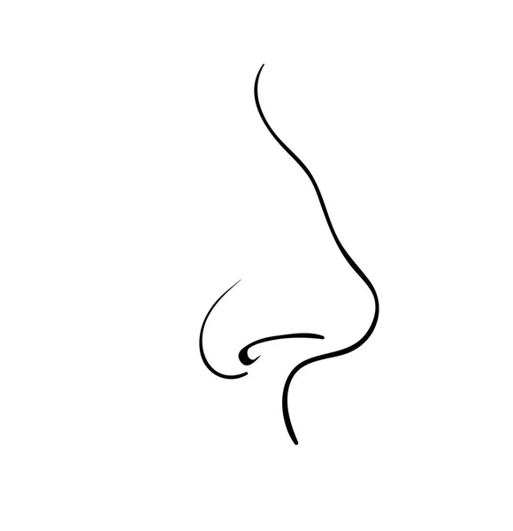 Nose outline vector icon — Stock Vector © Arcady #179037170 Nose outline vector icon — Stock Vector © Arcady #179037170