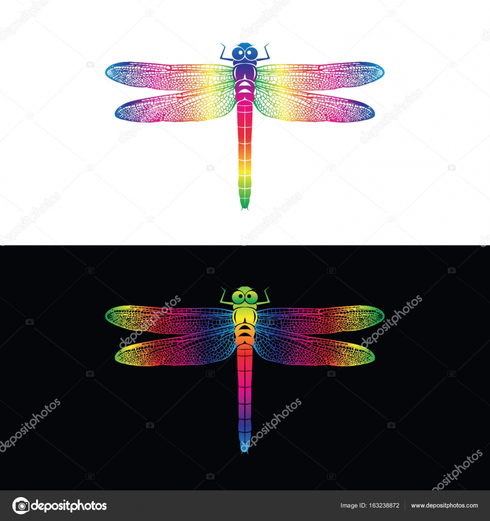 Vector of colorful dragonfly design on white background and on Stock ...