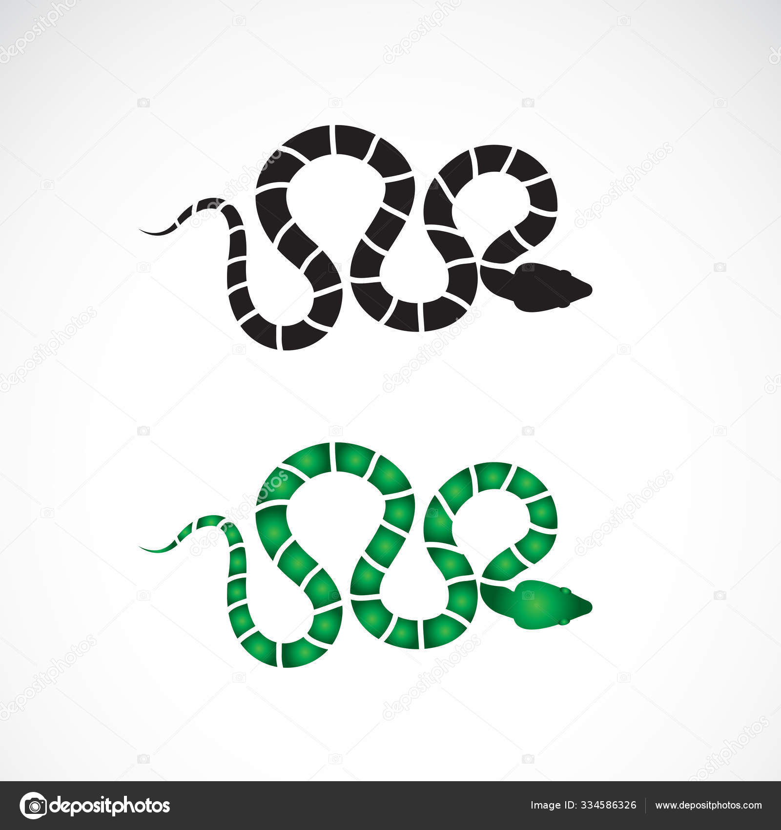 Vector of snake design on white background. Animals. Reptile. Sn Stock ...