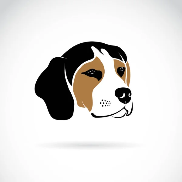 Lindo beagle imágenes de stock de arte vectorial | Depositphotos