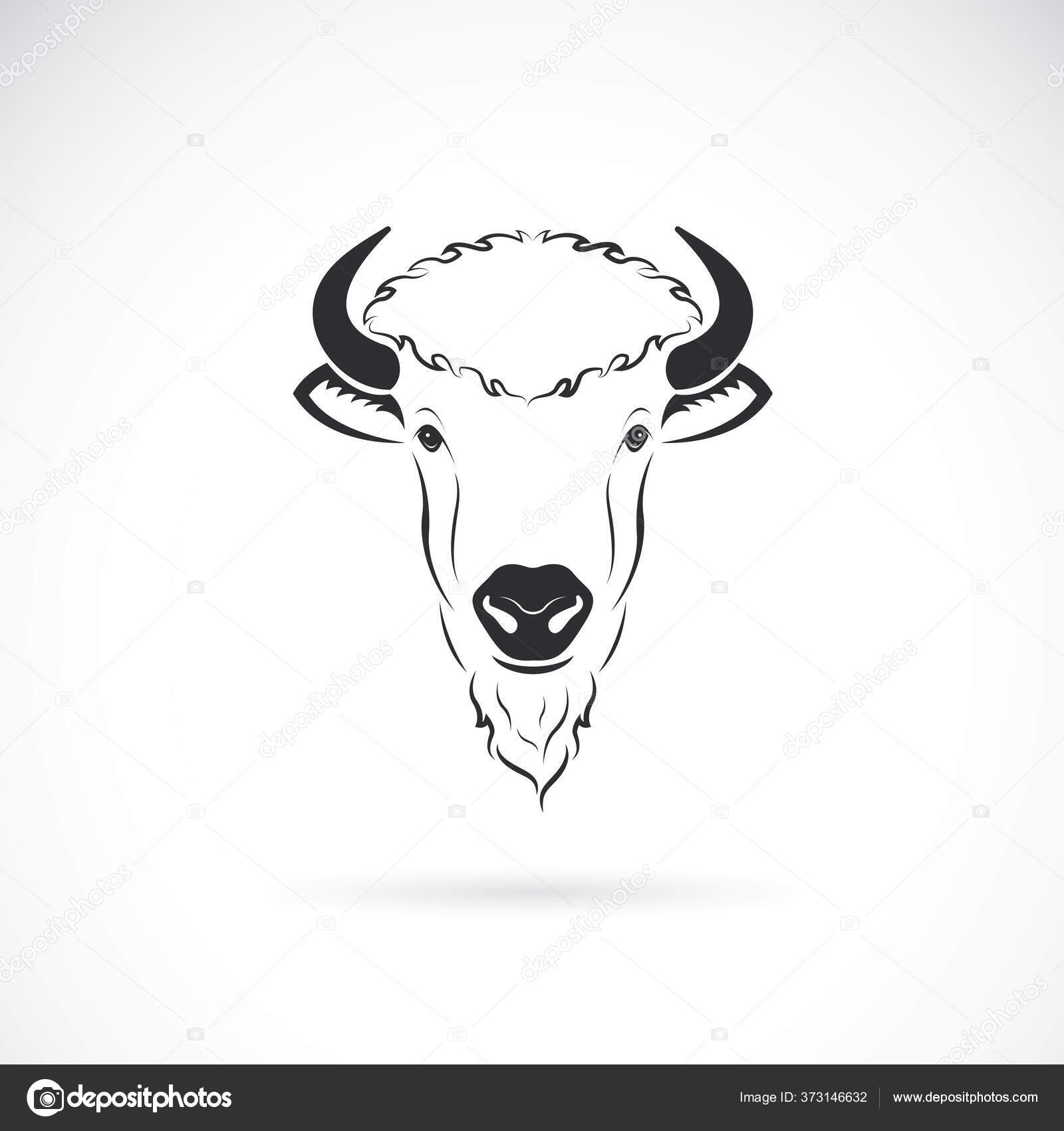 Vector Bison Head Design White Background Wild Animals Bisons Logos ...