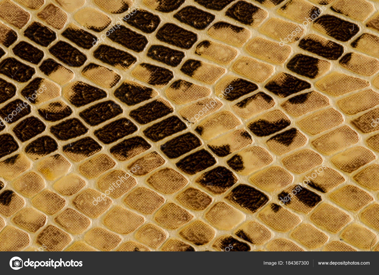 Photo Snake Skin Pattern Background Texture — Stock Photo © underworld1 ...