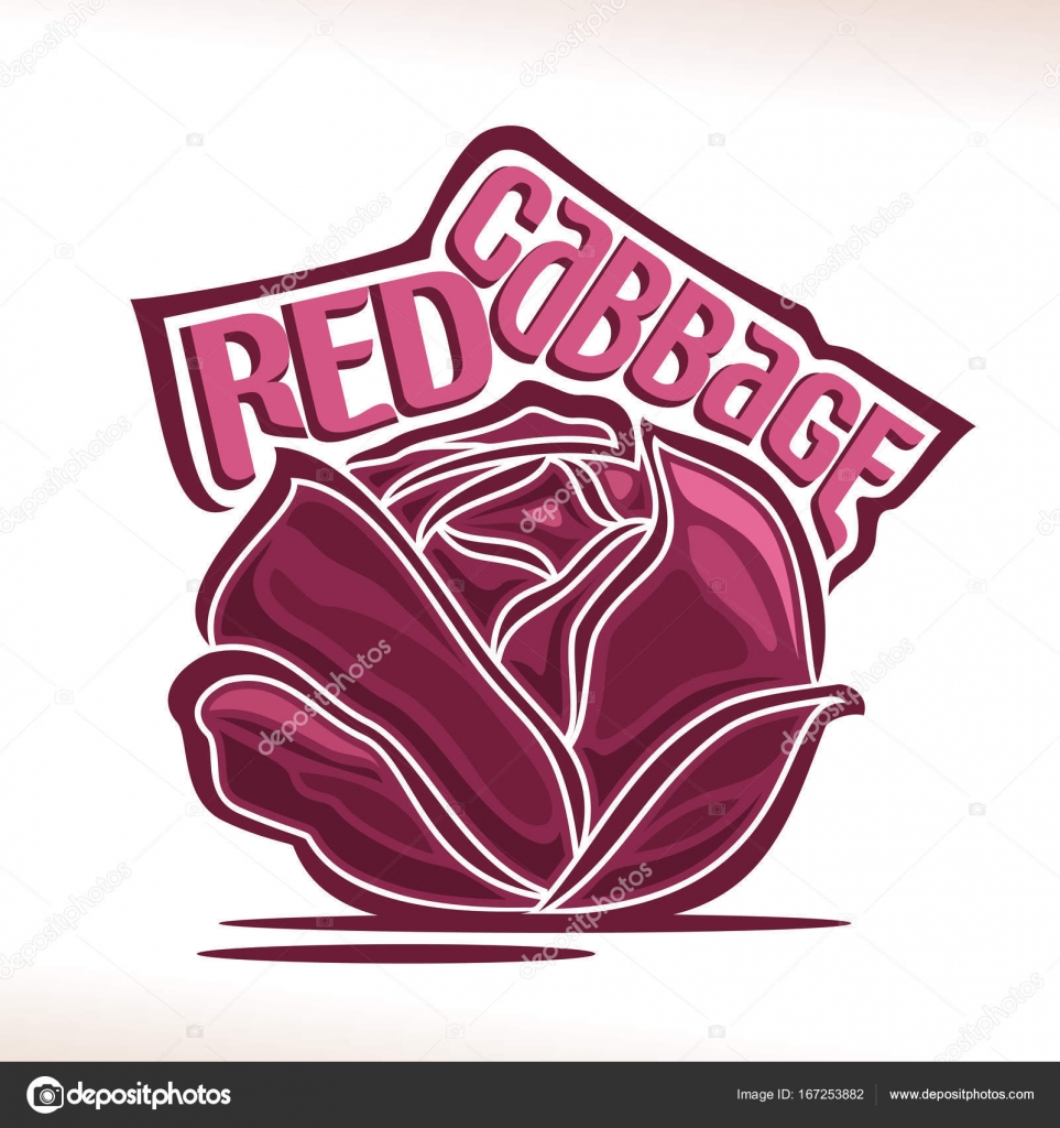 Vector logo for fresh Red Cabbage Stock Vector Image by ©mihmihmal ...