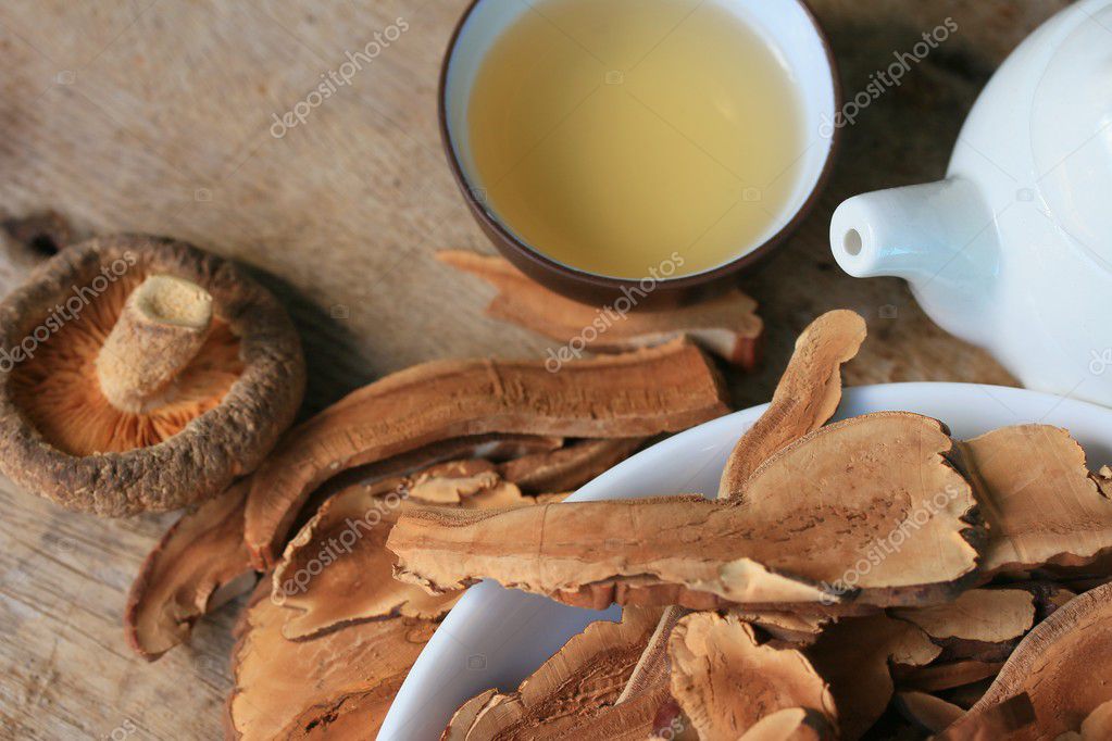 Ganoderma lucidum hot tea — Stock Photo © oilslo #127430764