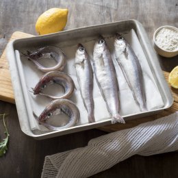 Whiting Stock Photos, Royalty Free Whiting Images | Depositphotos