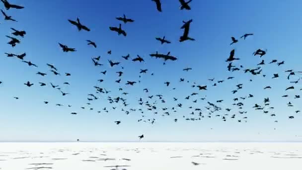 112 Raven flying animation Videos, Royalty-free Stock Raven flying ...