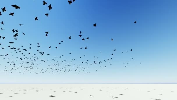 112 Raven flying animation Videos, Royalty-free Stock Raven flying ...