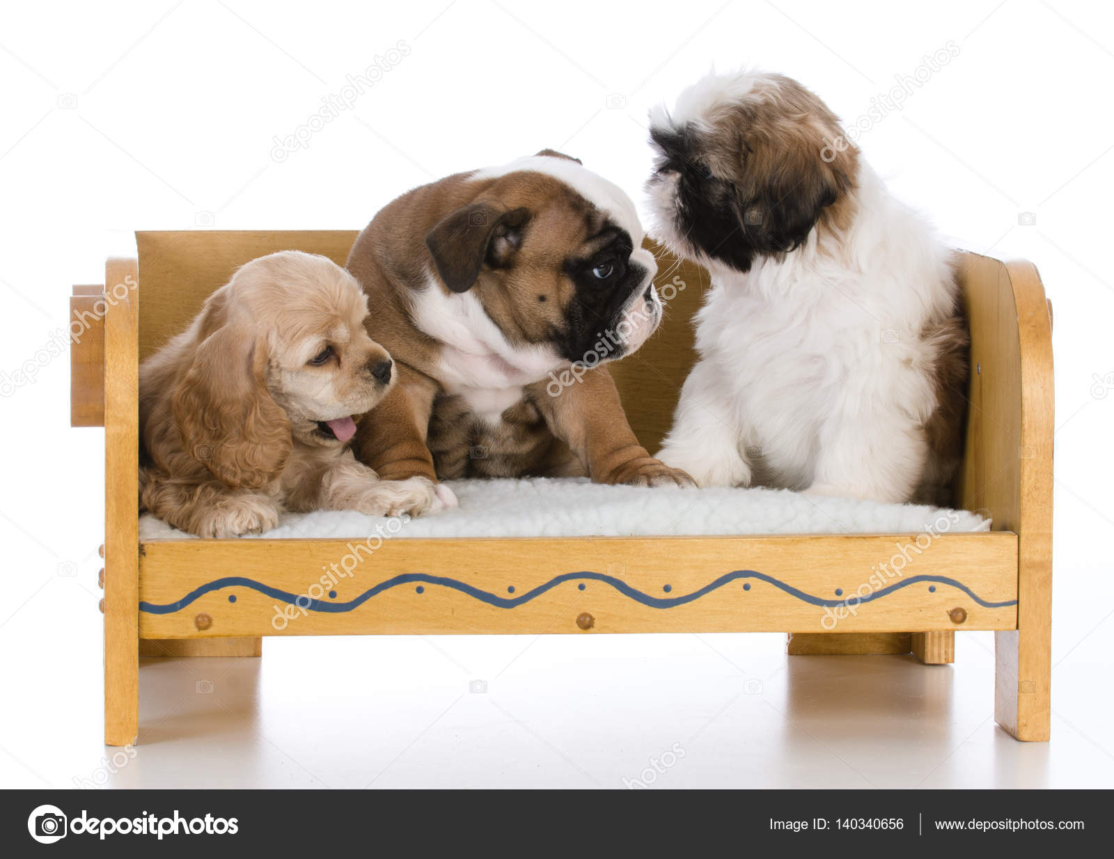 Three different breeds Stock Photo by ©willeecole 140340656