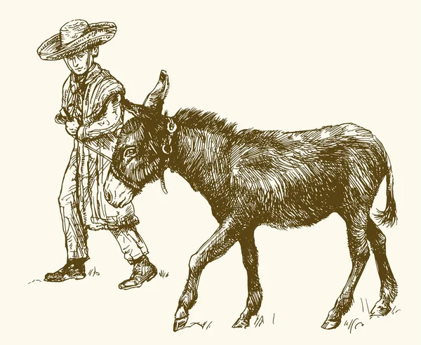 605 ilustraciones de stock de Cara de burro | Depositphotos