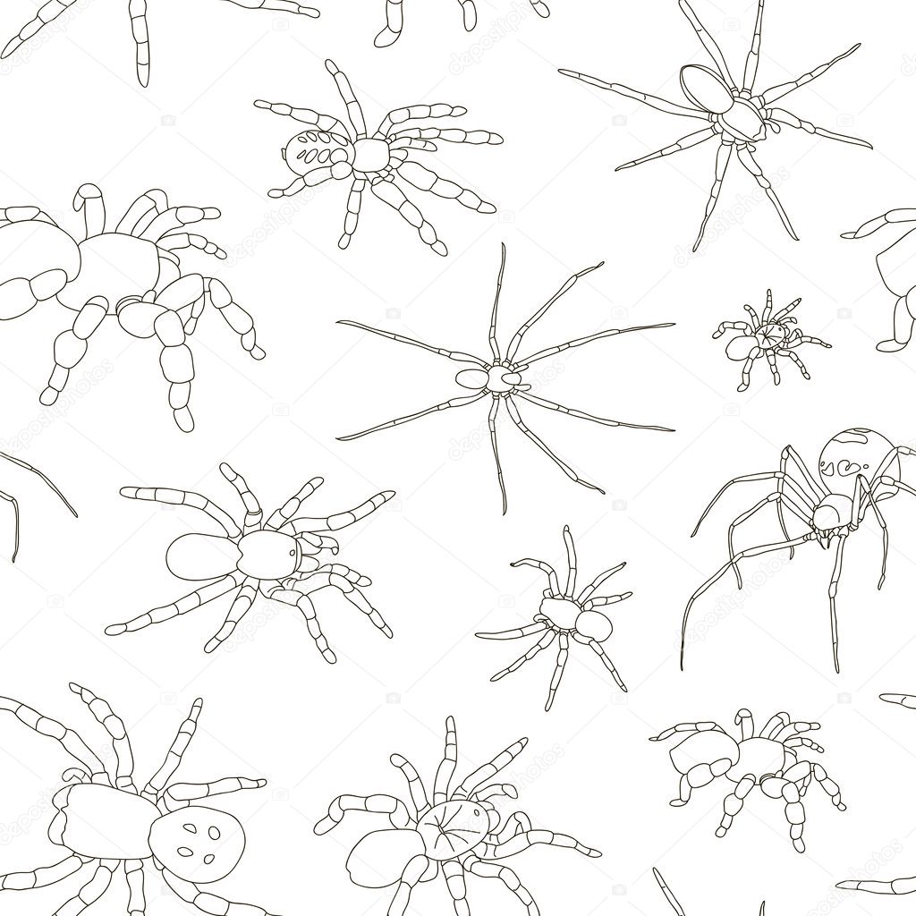 Spiders vector set pattern Stock Vector Image by ©Netkoff #127821218