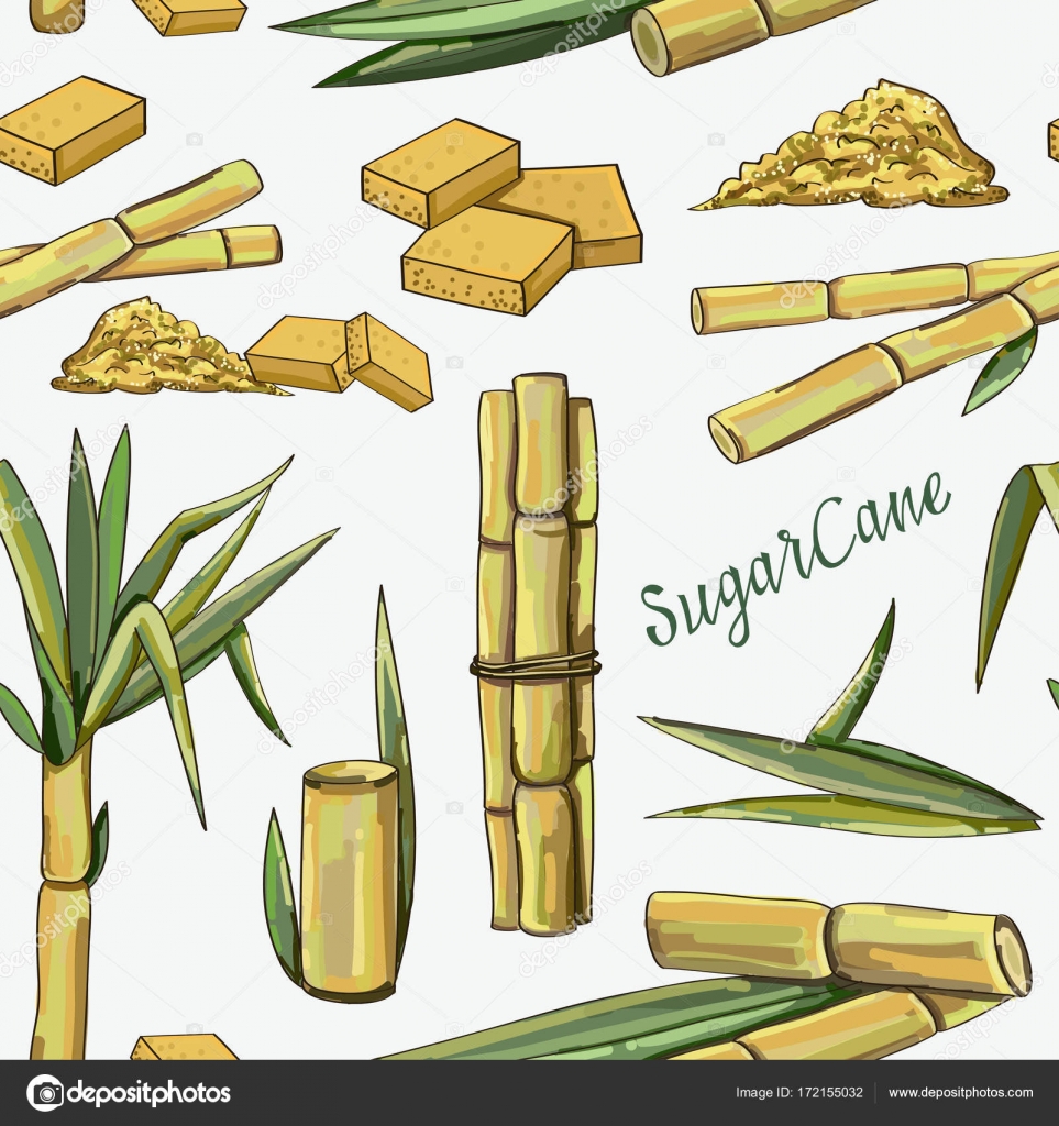 Sugar cane icons pattern — Stock Vector © Netkoff #172155032