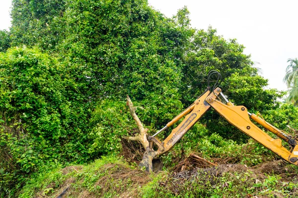 Deforestation for build-up properties. – Stock Editorial Photo © mrfiza ...