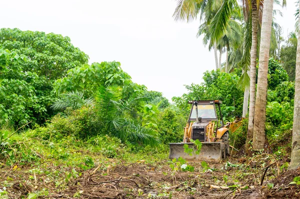 Deforestation for build-up properties. – Stock Editorial Photo © mrfiza ...