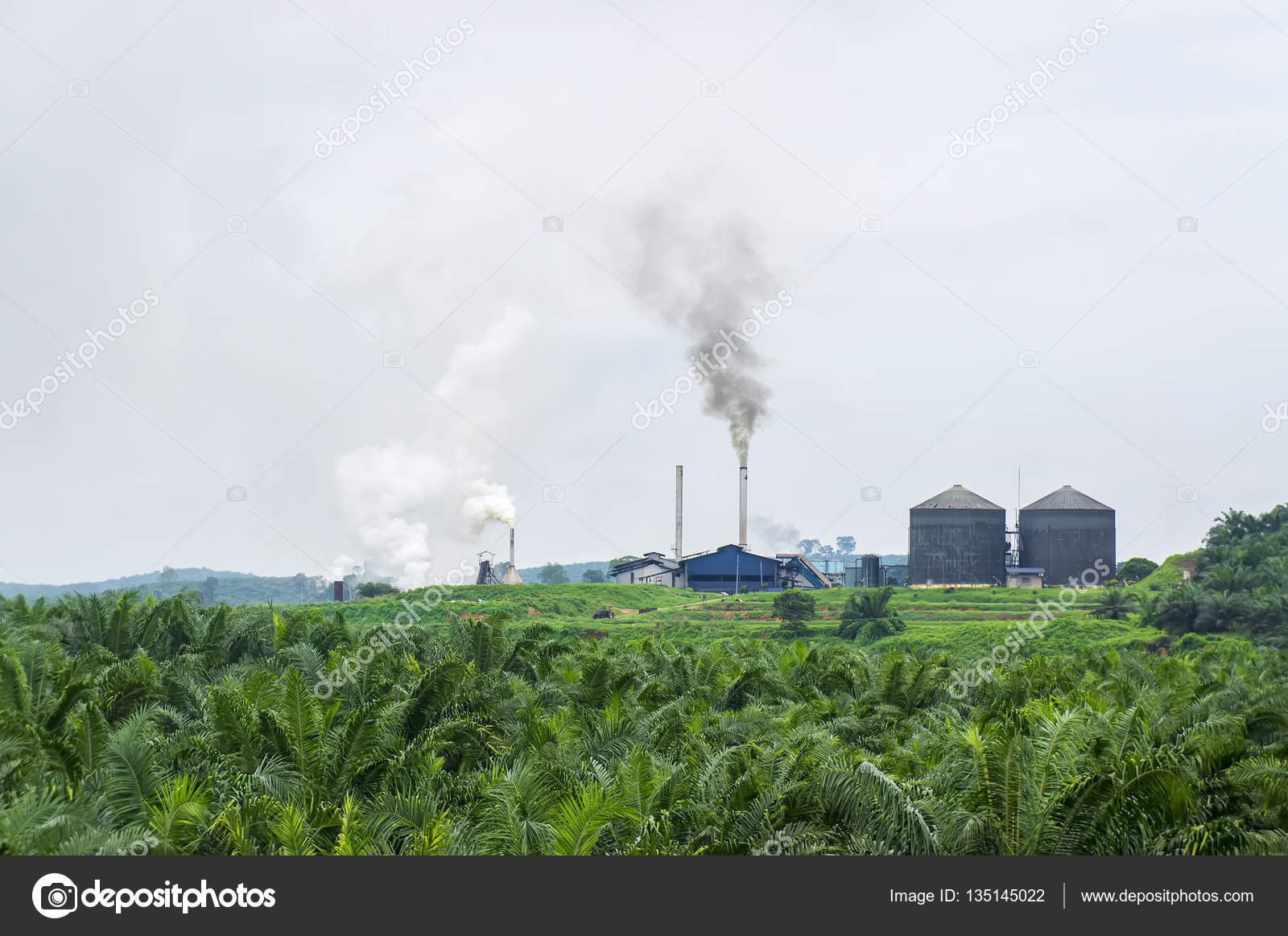 Air pollution produced by the palm oil mill Stock Photo by ©mrfiza ...
