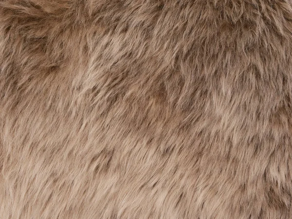 Fur background Images - Search Images on Everypixel