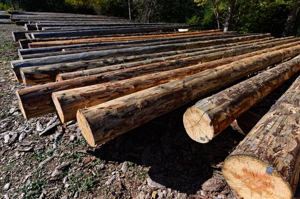 Lumber industry Stock Photos, Royalty Free Lumber industry Images ...