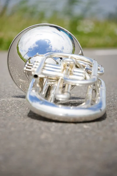 Portrait of a silver baritone Stock Photo by ©fotografiecor 100088616