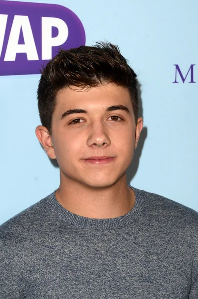 ᐈ Bradley steven perry stock pics, Royalty Free recent bradley steven ...