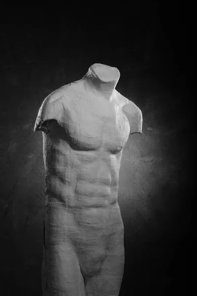 Manikin of human male body Stock Photo by ©shmeljov 147088661