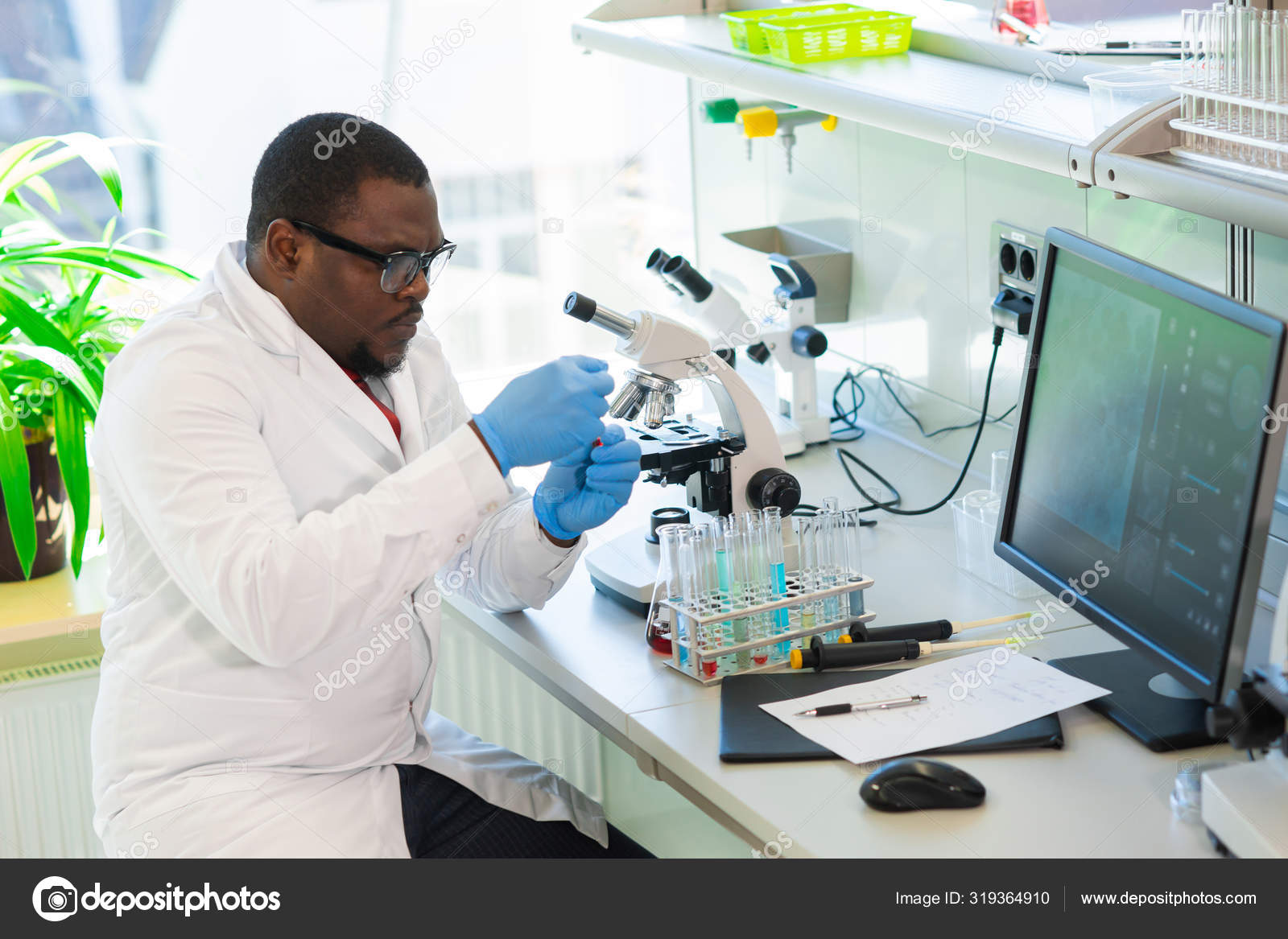 African American Scientist Working Lab Male Doctor Making Microbiology ...