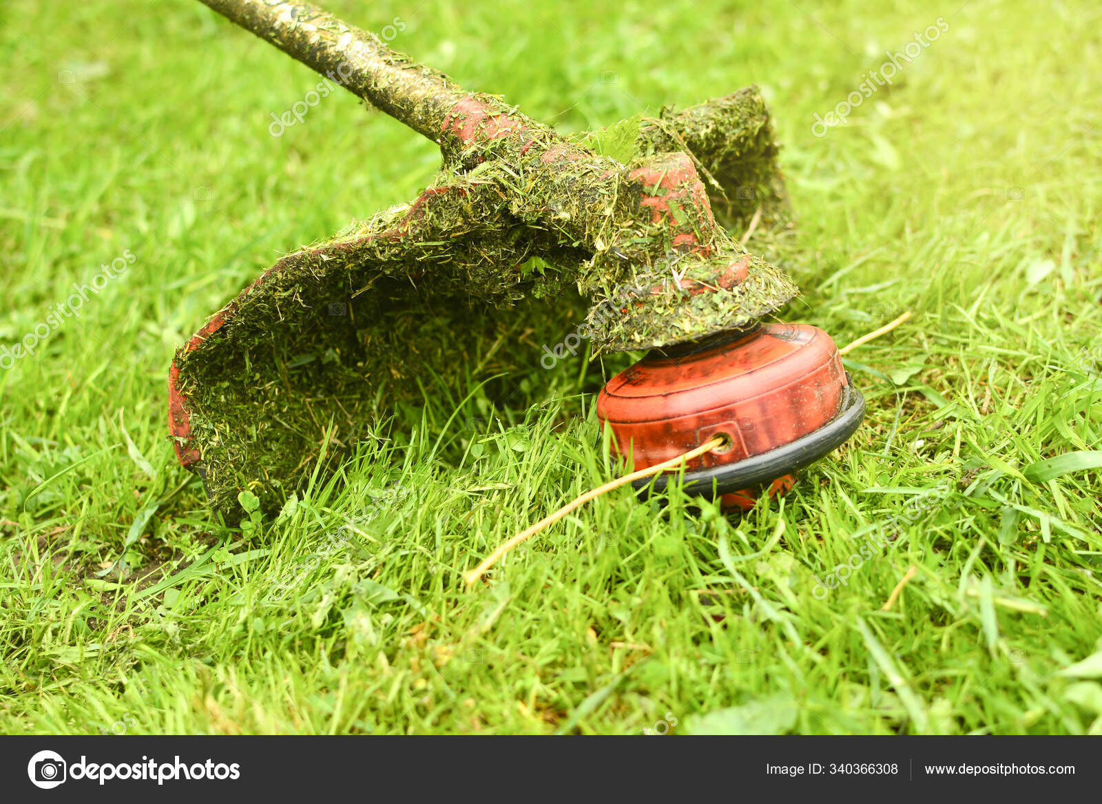 Trimmer close up mow the grass with a lawnmower. Gardening with — Stock Photo © dipnik #340366308