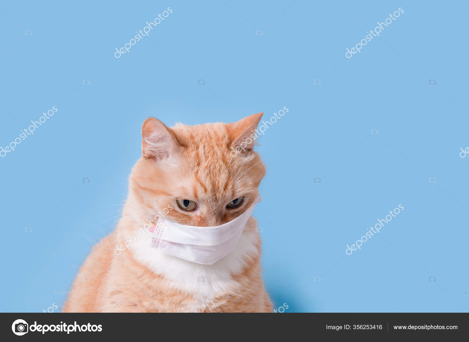 Cute Scared Ginger Cat White Children's Medical Protective Mask Blue ...