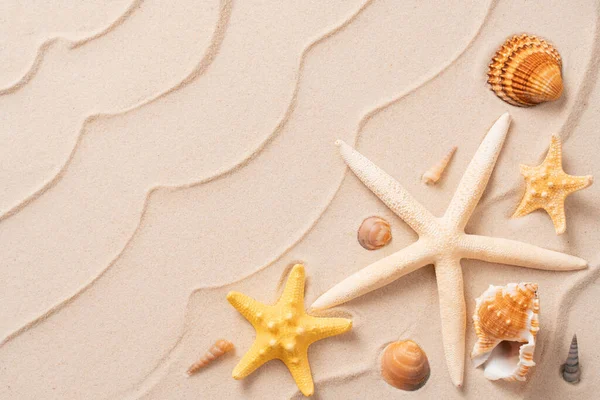 Creative layout of sand waves and sea, summer beach background with ...