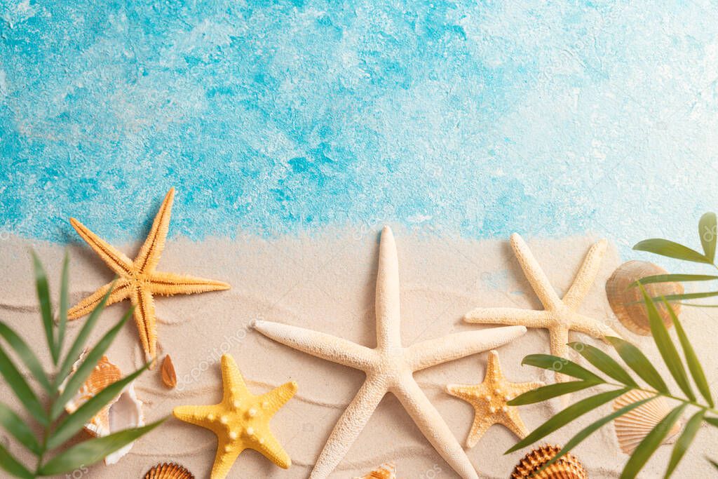 fondo de la playa de verano con concha estrella de mar borrosa Palm ...