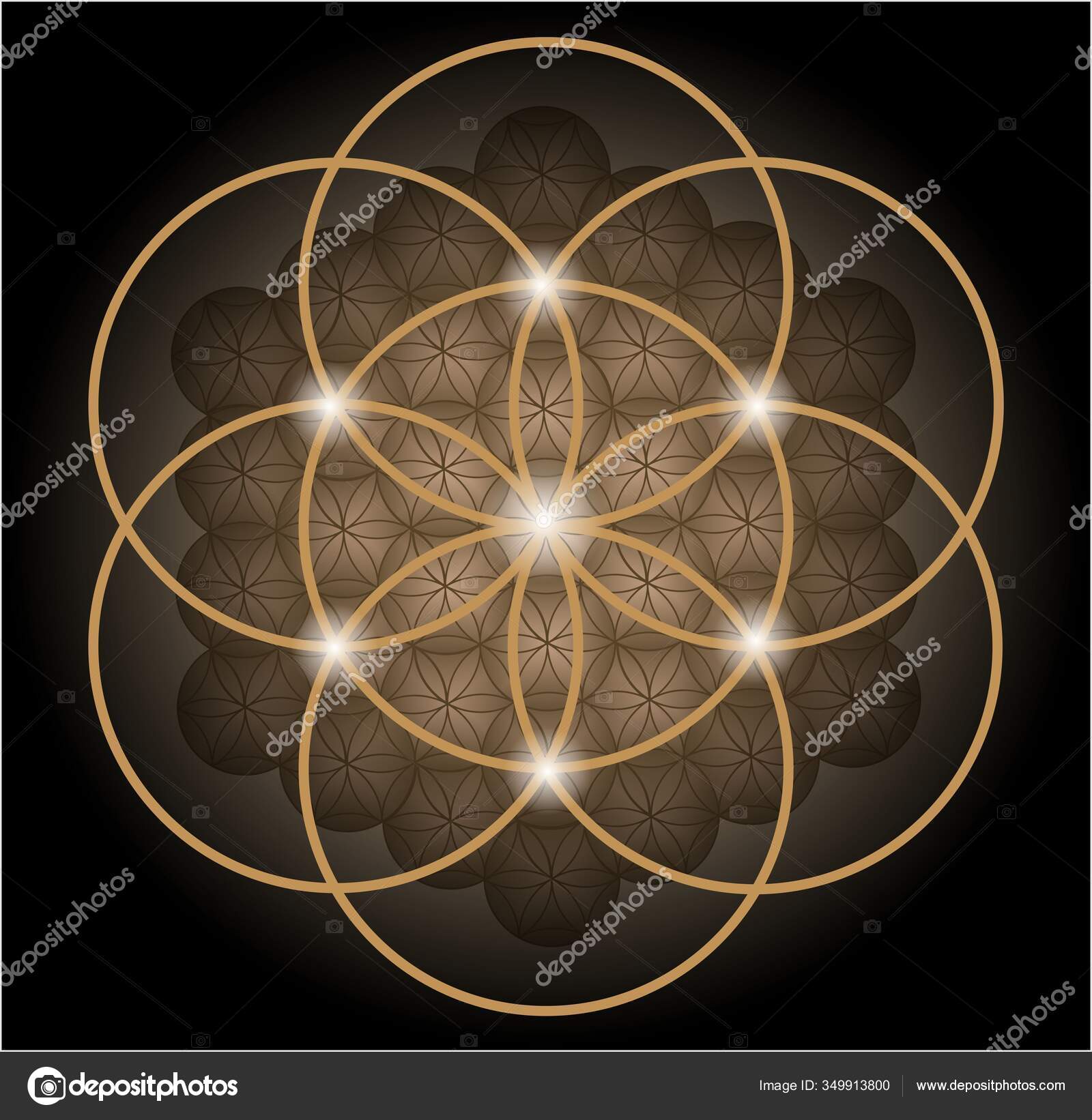 Seed Of Life Flower Sacred Geometry | Best Flower Site