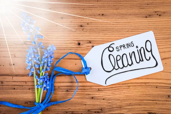Spring cleaning logo Stock Photos, Royalty Free Spring cleaning logo ...