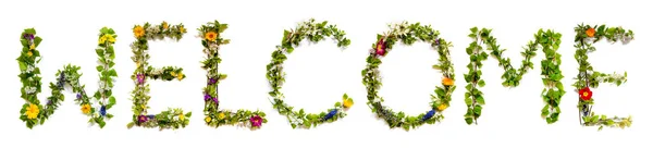 Flower And Blossom Letter Building Word Gruesse Means Greetings — Stock Photo © Nelosa #383689342