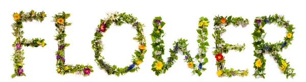 Flower And Blossom Letter Building Word Gruesse Means Greetings — Stock Photo © Nelosa #383689342