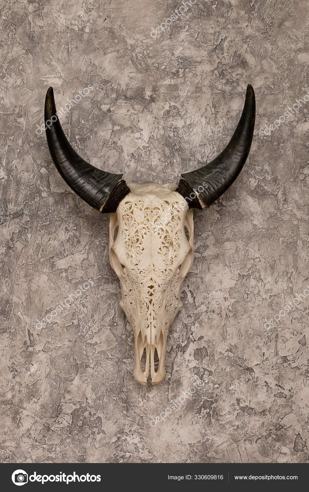 Download - Head skull of a bull with carved patterns and horns on the ...