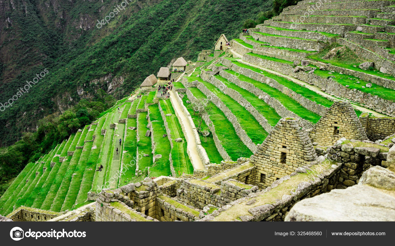 Ancient Inca Agriculture