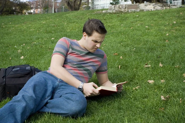 A young guy reading a book at the park. - Stock Image - Everypixel