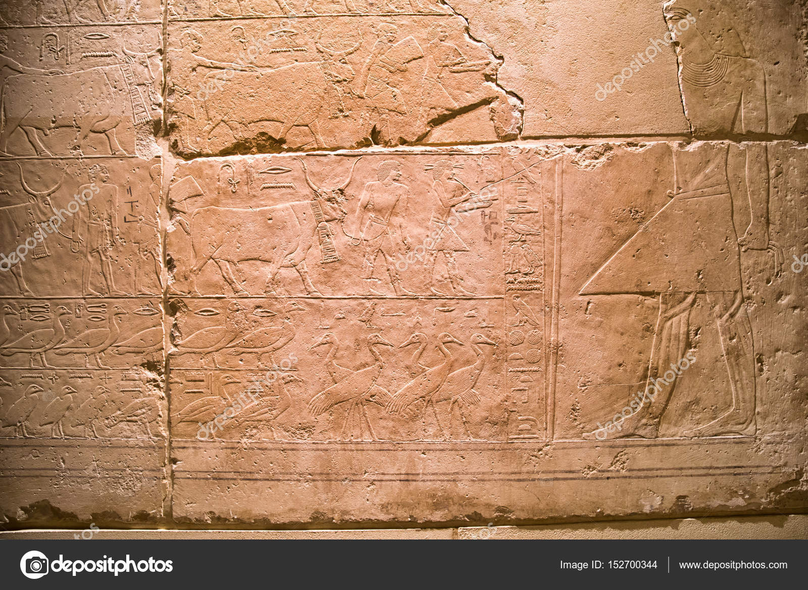 Hieroglyphic inscriptions on the burial chamber of Methen in Egy ...