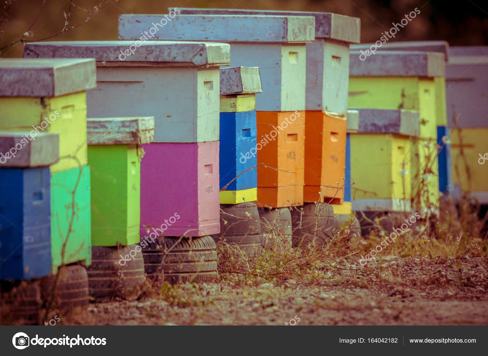 Colorful bee hives in a row in vintage colors — Stock Photo ...