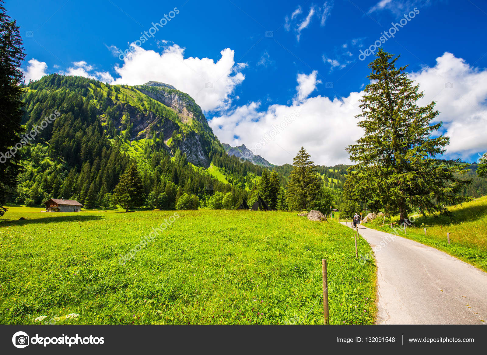 Pathway leading Lauenensee lake Stock Photo by ©gevision 132091548