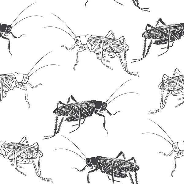 ᐈ Cartoon grasshoppers stock drawings, Royalty Free grasshoppers images ...