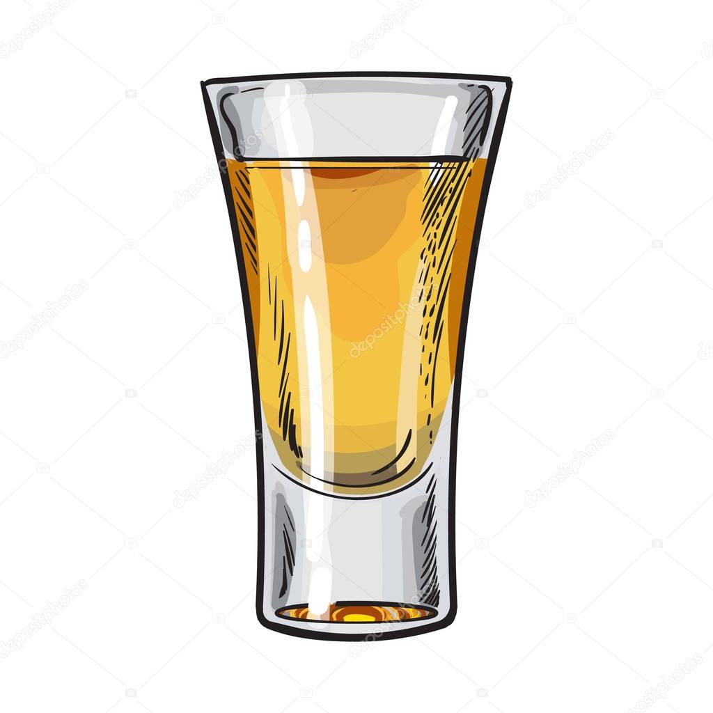 Hand Drawn Glass Full Of Gold Tequila Isolated Vector Illustration — Stock Vector © Sabelskaya