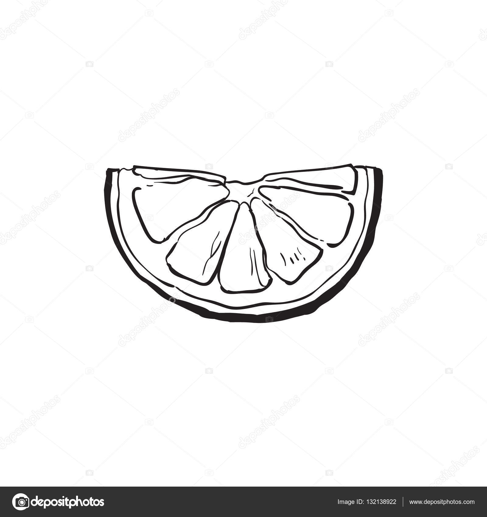 Lime Slice Drawing