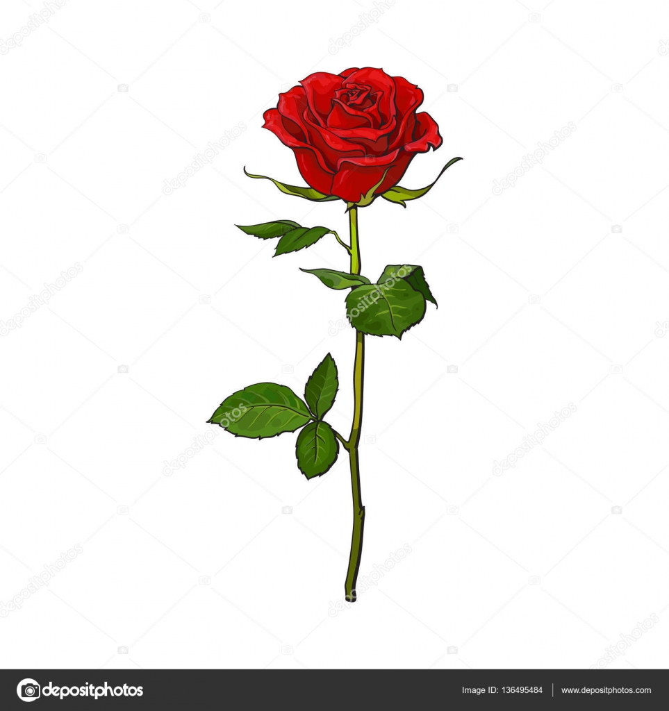 Dessin De Rose Rouge