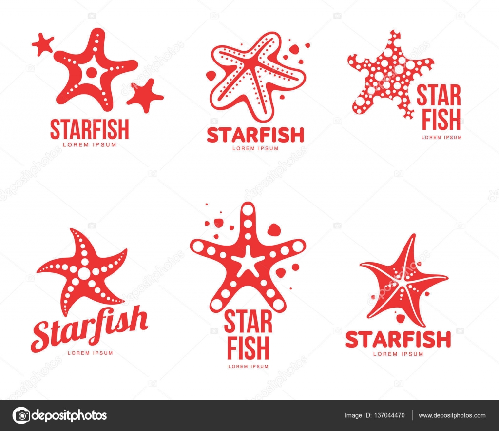 Starfish Graphic Design